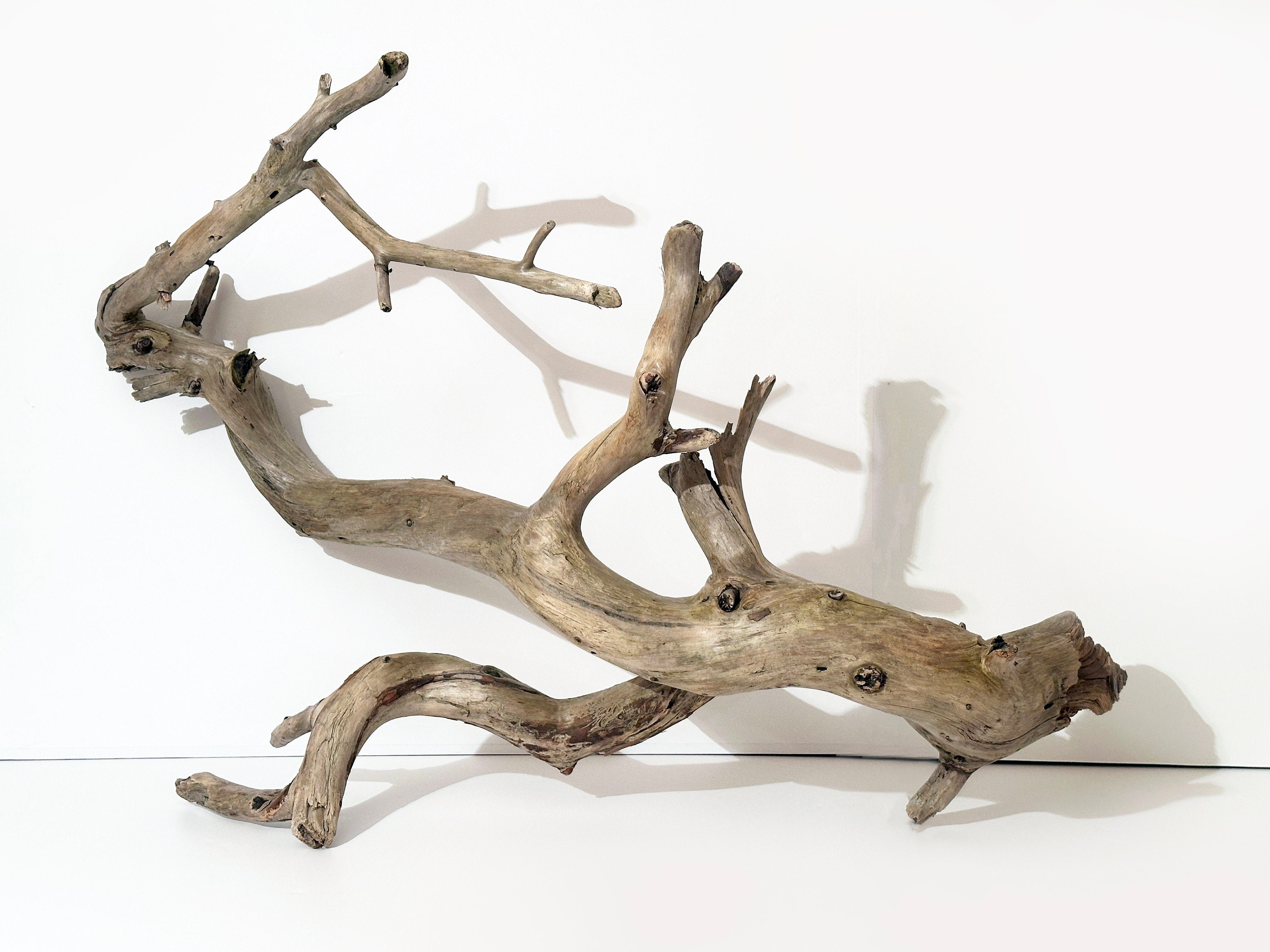 Driftwood Tree Branch, Large Driftwood Sculpture, Ghostwood Branch ...