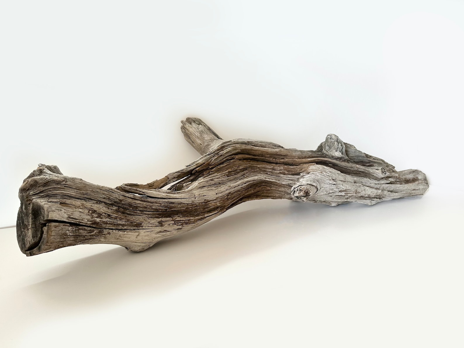 Extra Large Driftwood, Garden Wood Decor, Large Driftwood Sculpture ...