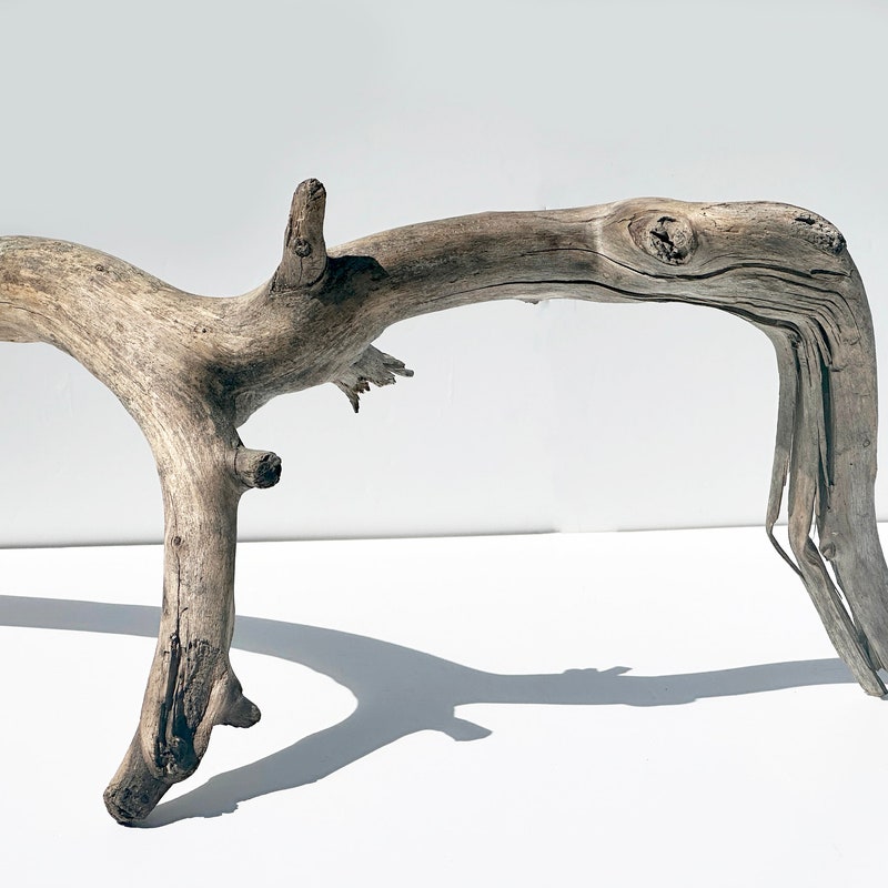 Large Driftwood - Etsy