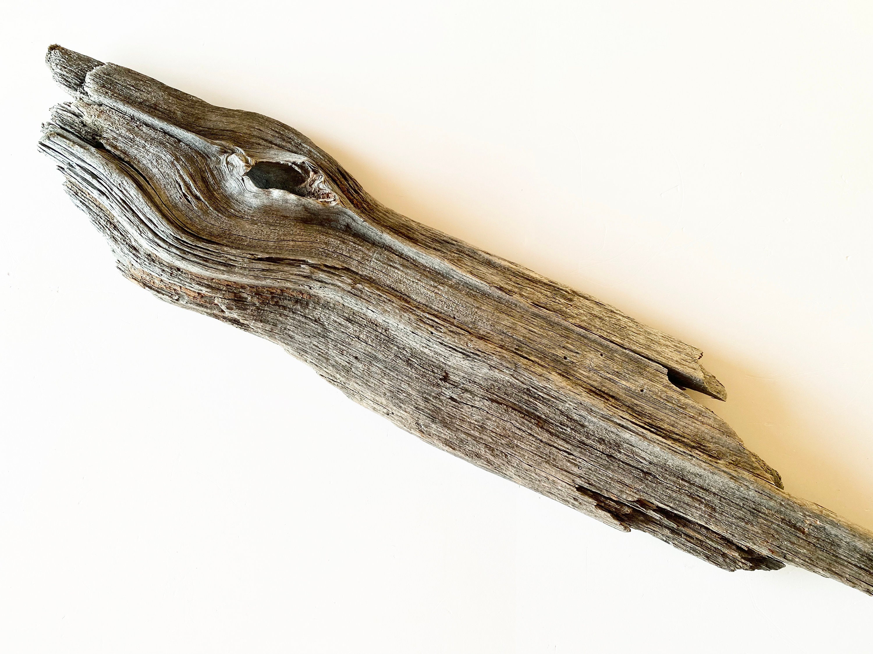 Large Driftwood Piece, Driftwood Sculpture, Aquarium Driftwood ...