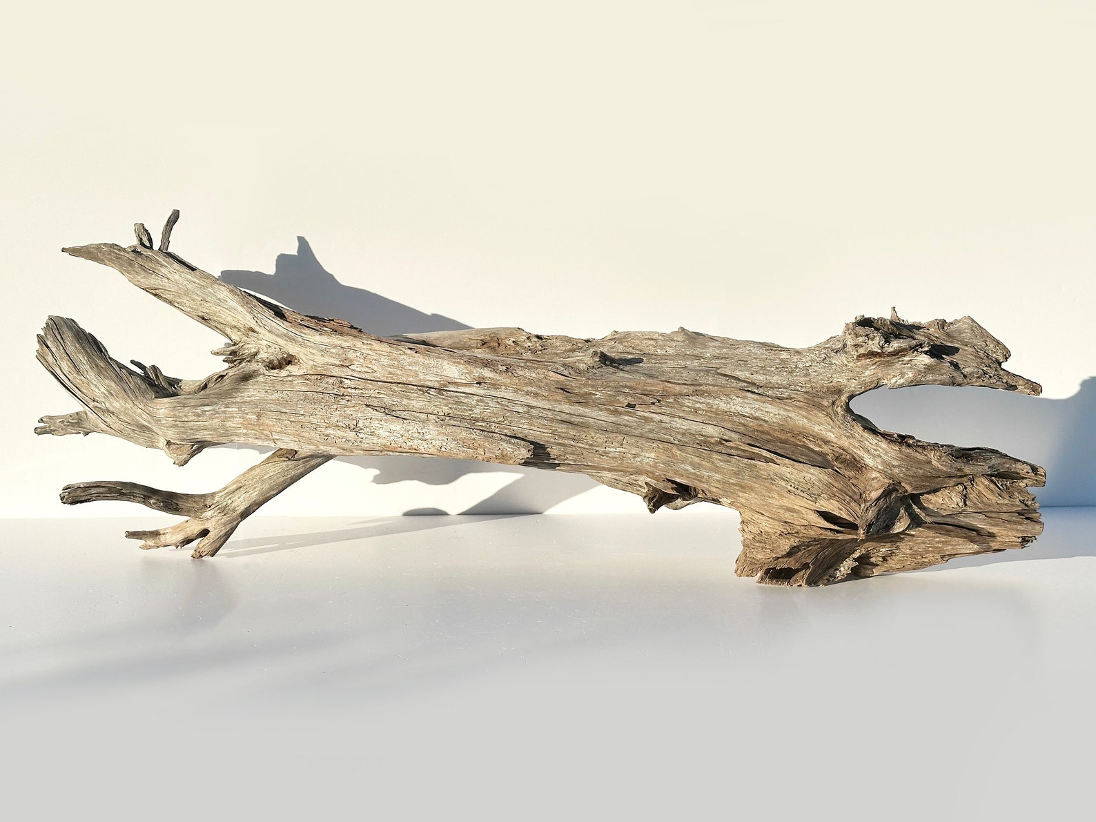 Extra Large Driftwood Sculpture, Wood Terrarium Reptile Hide, Garden ...