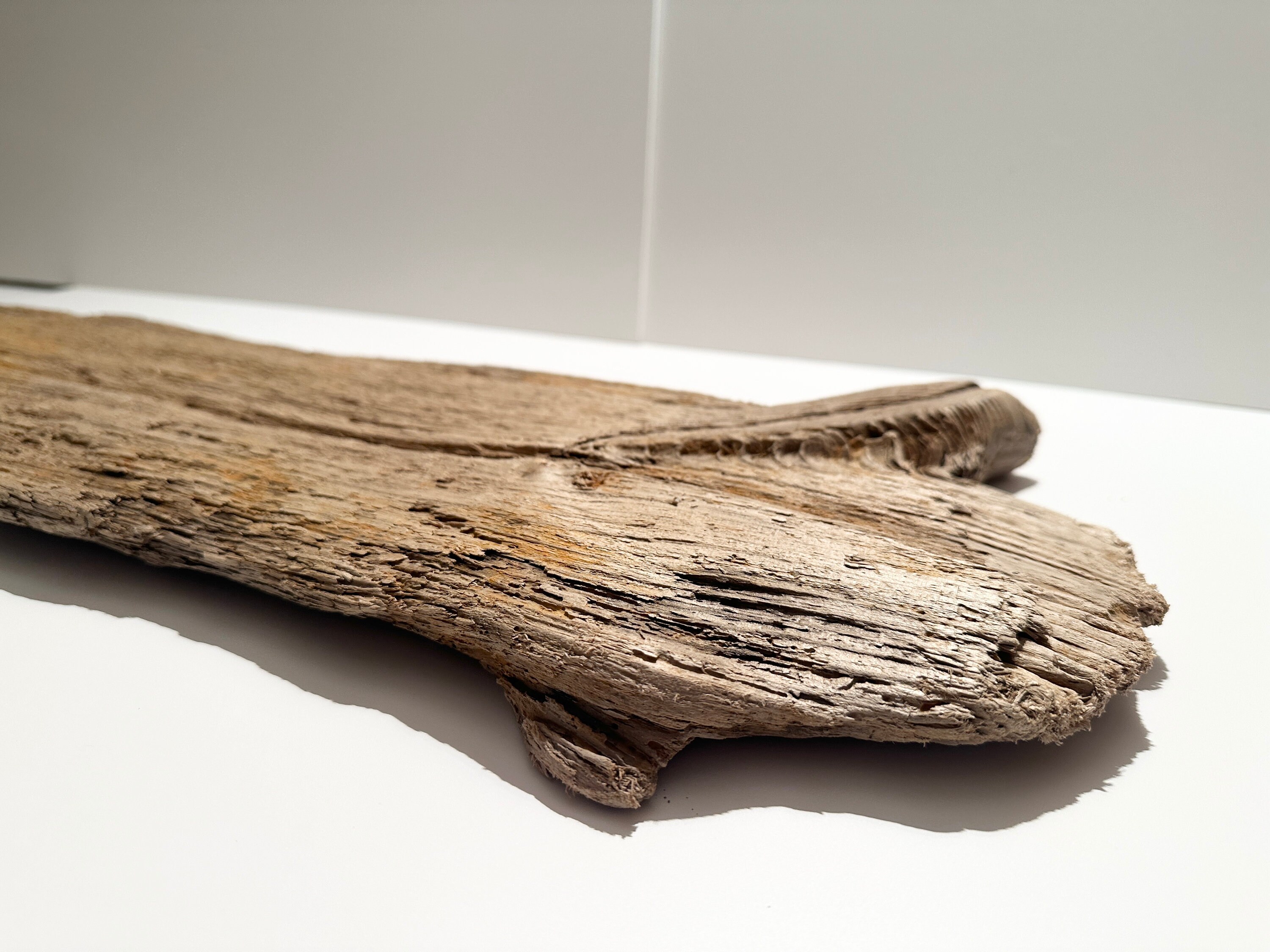 Driftwood Sign, Driftwood Board, Flat Driftwood Piece, Beach Sign ...