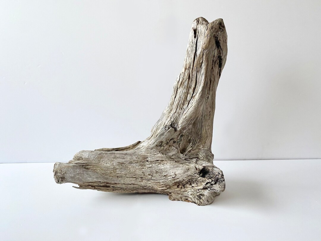Extra Large Driftwood Log, Aquarium Decoration, Unique Driftwood Slab ...