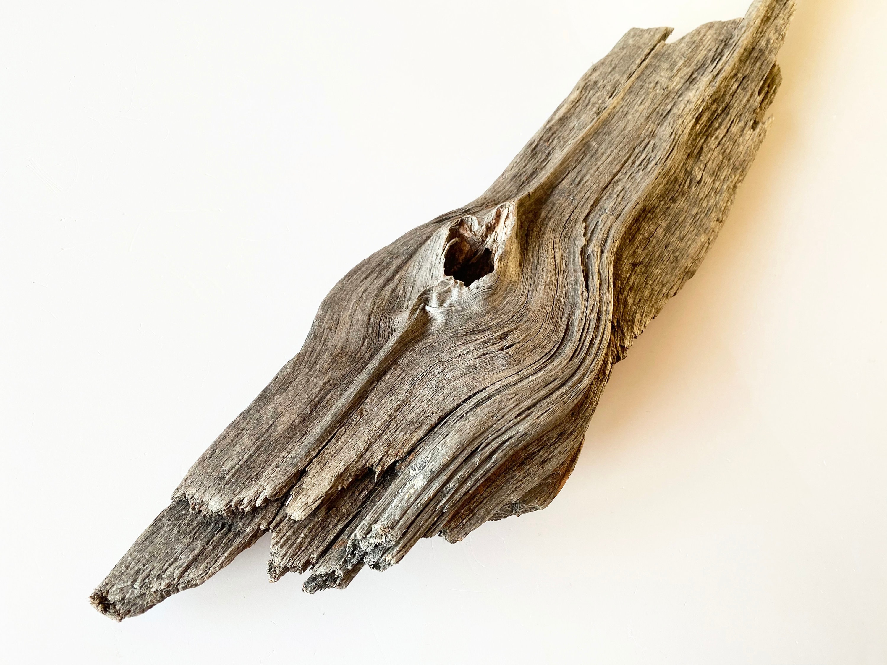Large Driftwood Piece, Driftwood Sculpture, Aquarium Driftwood ...