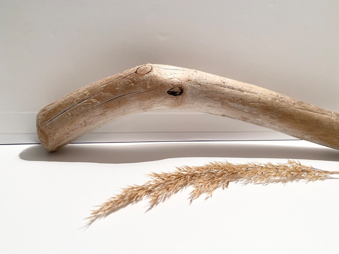 Aquascape Aquarium Driftwood Sticks, Reptile Wood, Ghostwood Branch ...