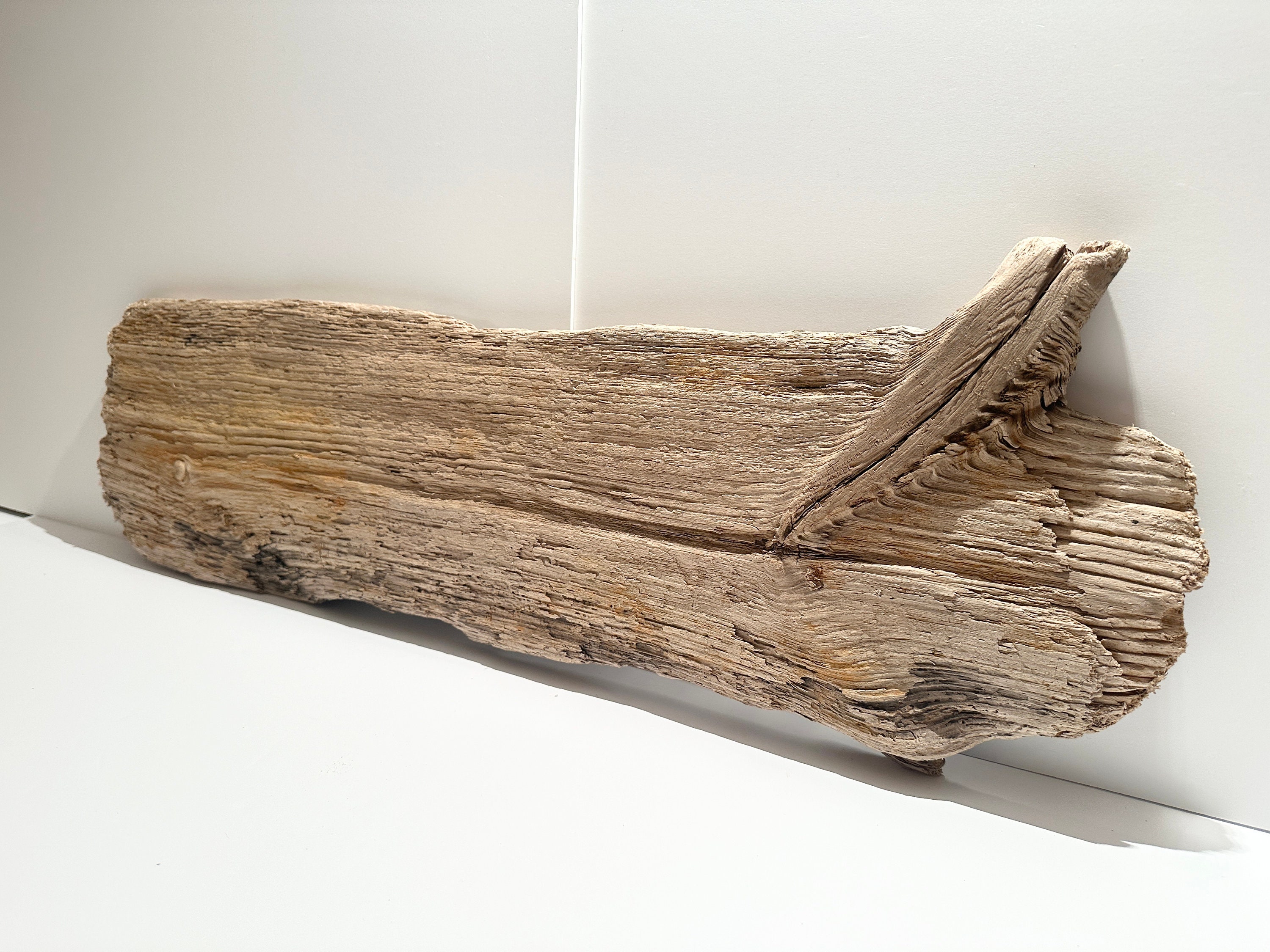 Driftwood Sign, Driftwood Board, Flat Driftwood Piece, Beach Sign ...