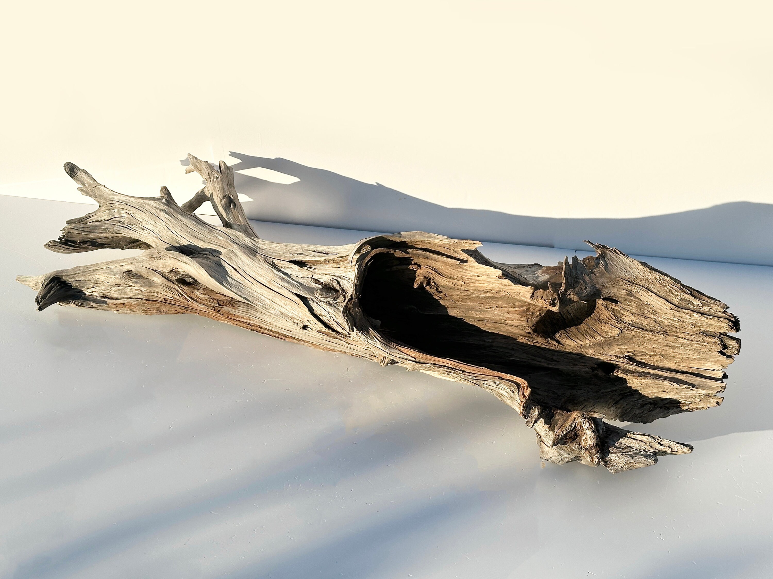 Extra Large Driftwood Sculpture, Wood Terrarium Reptile Hide, Garden ...