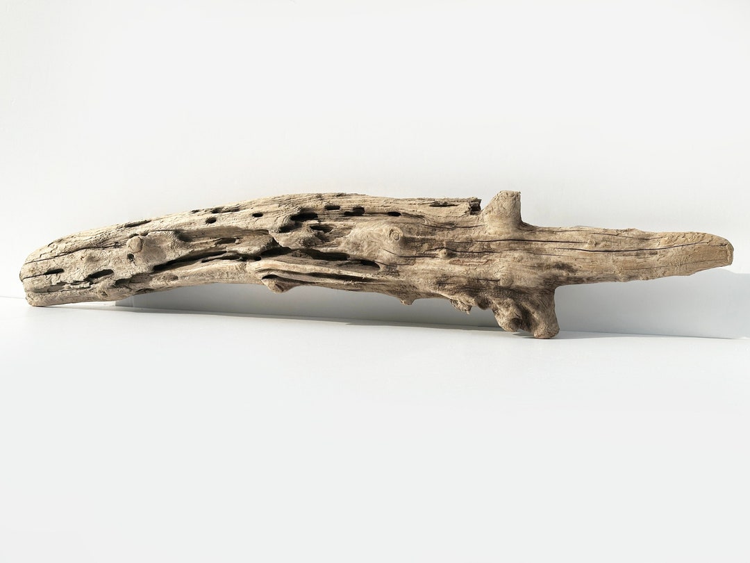 Extra Large Driftwood, Garden Wood Decor, Large Driftwood Sculpture ...