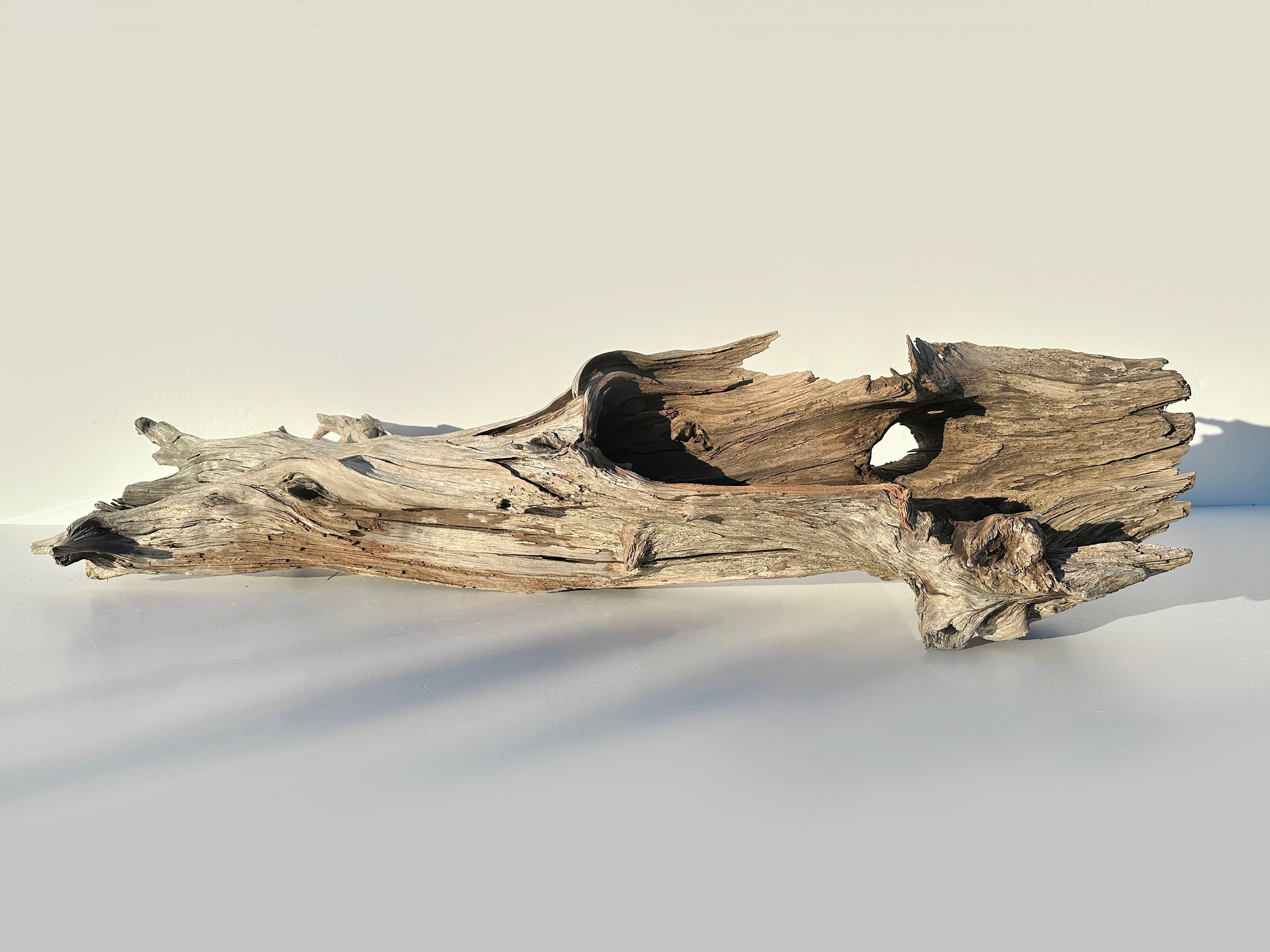 Extra Large Driftwood Sculpture, Wood Terrarium Reptile Hide, Garden ...