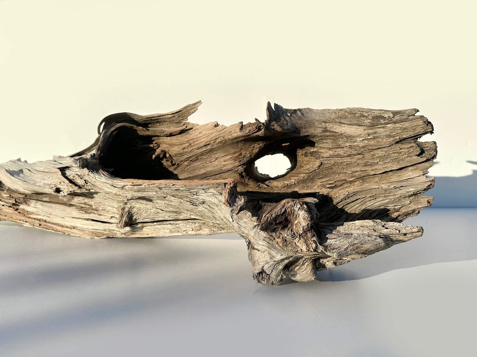 Extra Large Driftwood Sculpture, Wood Terrarium Reptile Hide, Garden ...