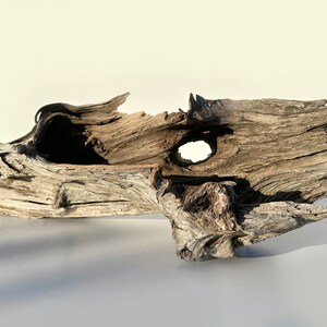 Extra Large Driftwood Sculpture, Wood Terrarium Reptile Hide, Garden ...