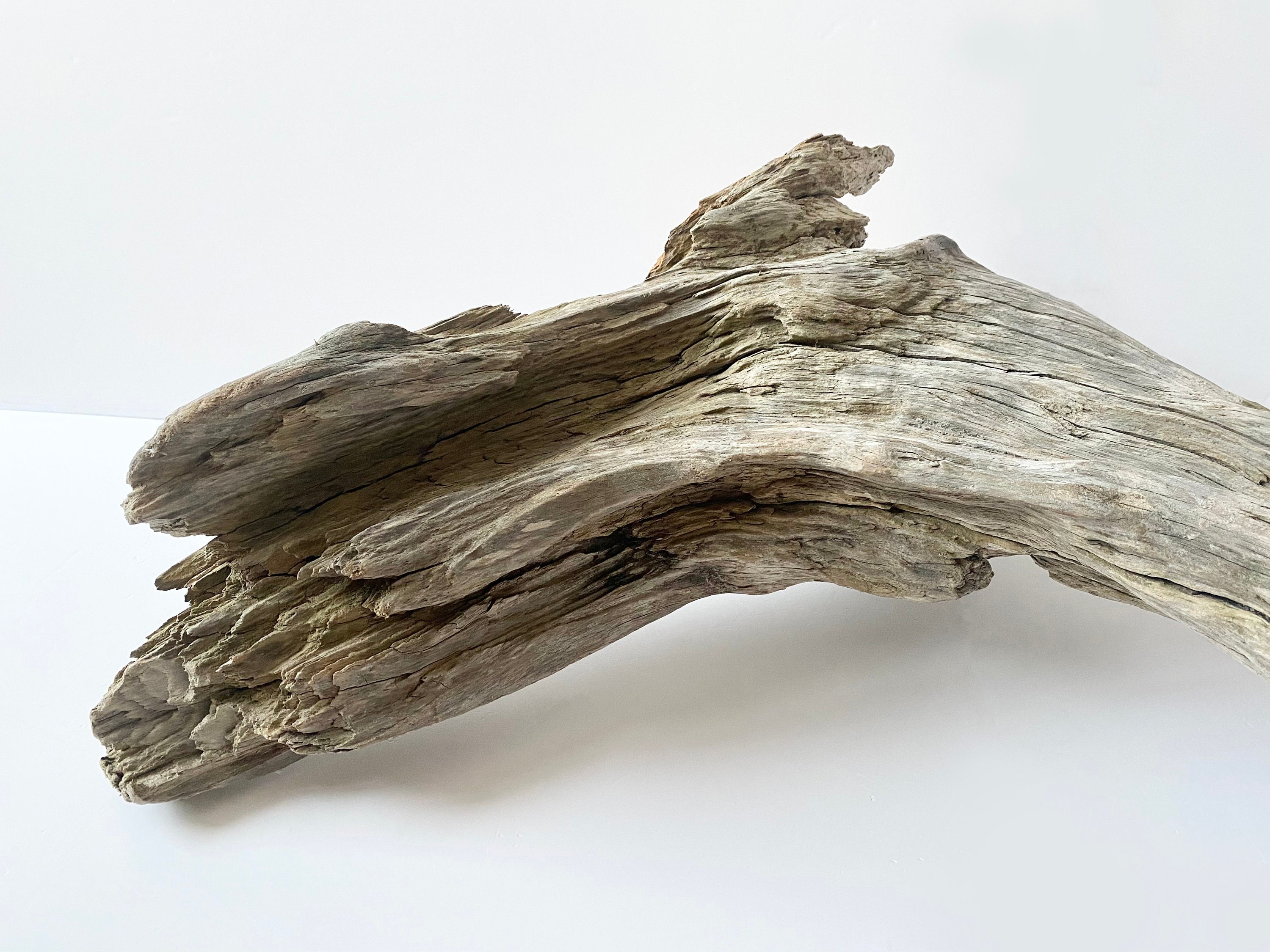 Extra Large Driftwood Log, Aquarium Decoration, Unique Driftwood Slab ...