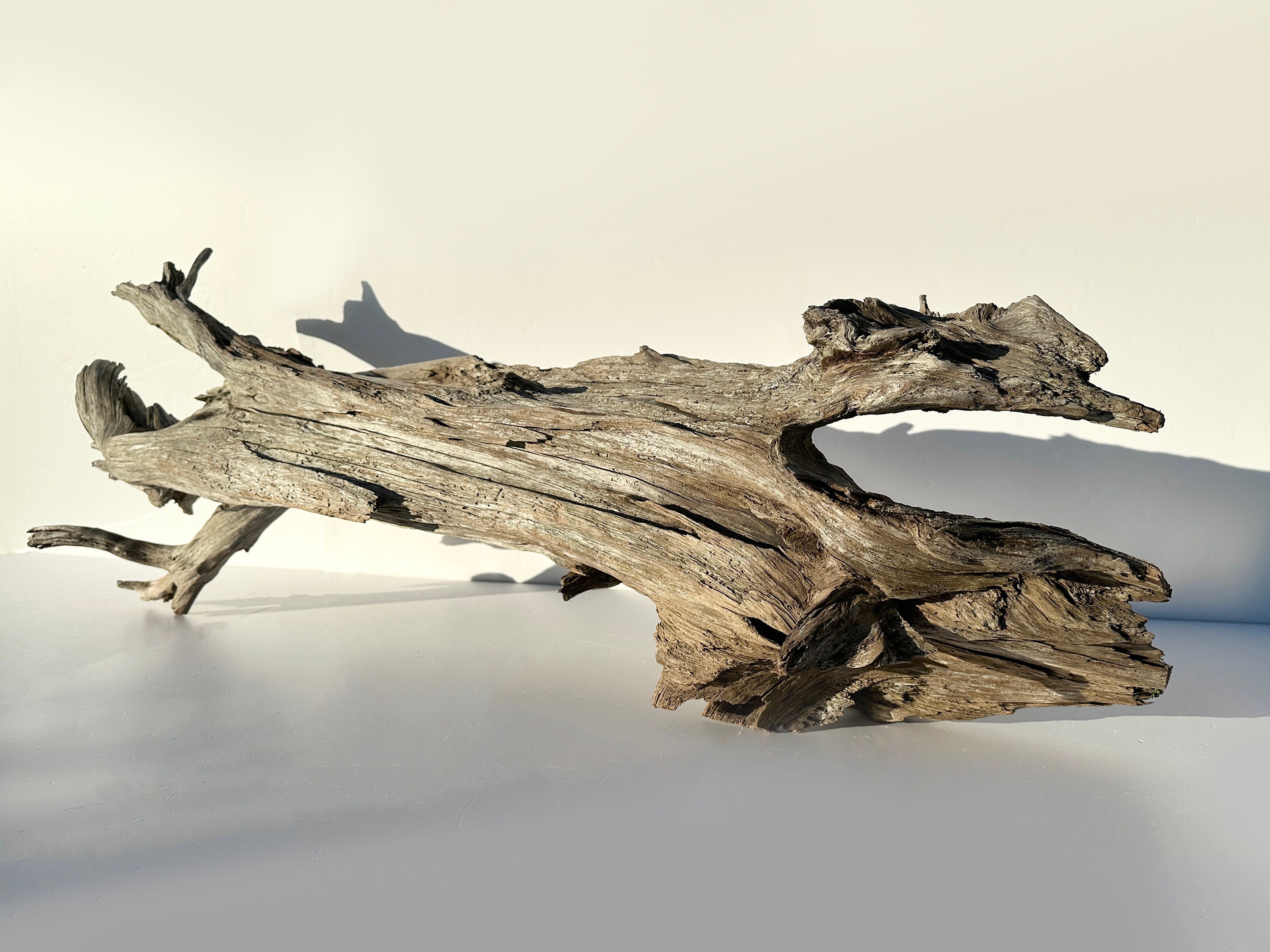 Extra Large Driftwood Sculpture, Wood Terrarium Reptile Hide, Garden ...