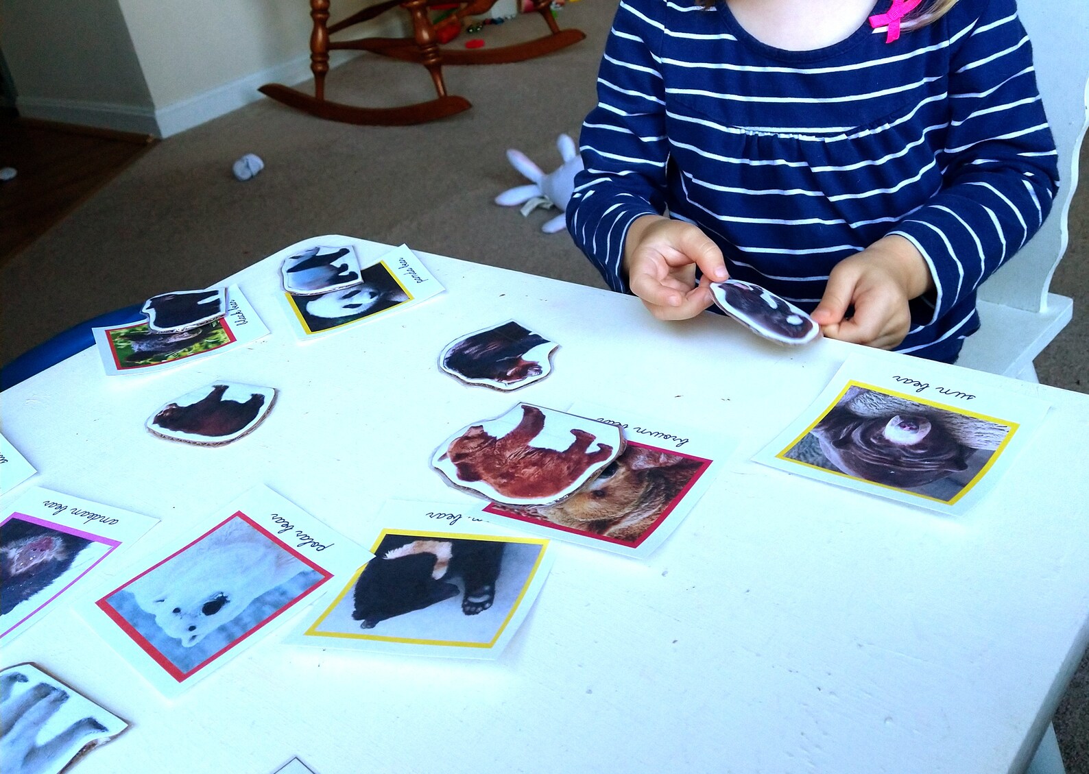 Bears of the World, 3 Part Cards, Bear Species Study, Montessori Animal ...