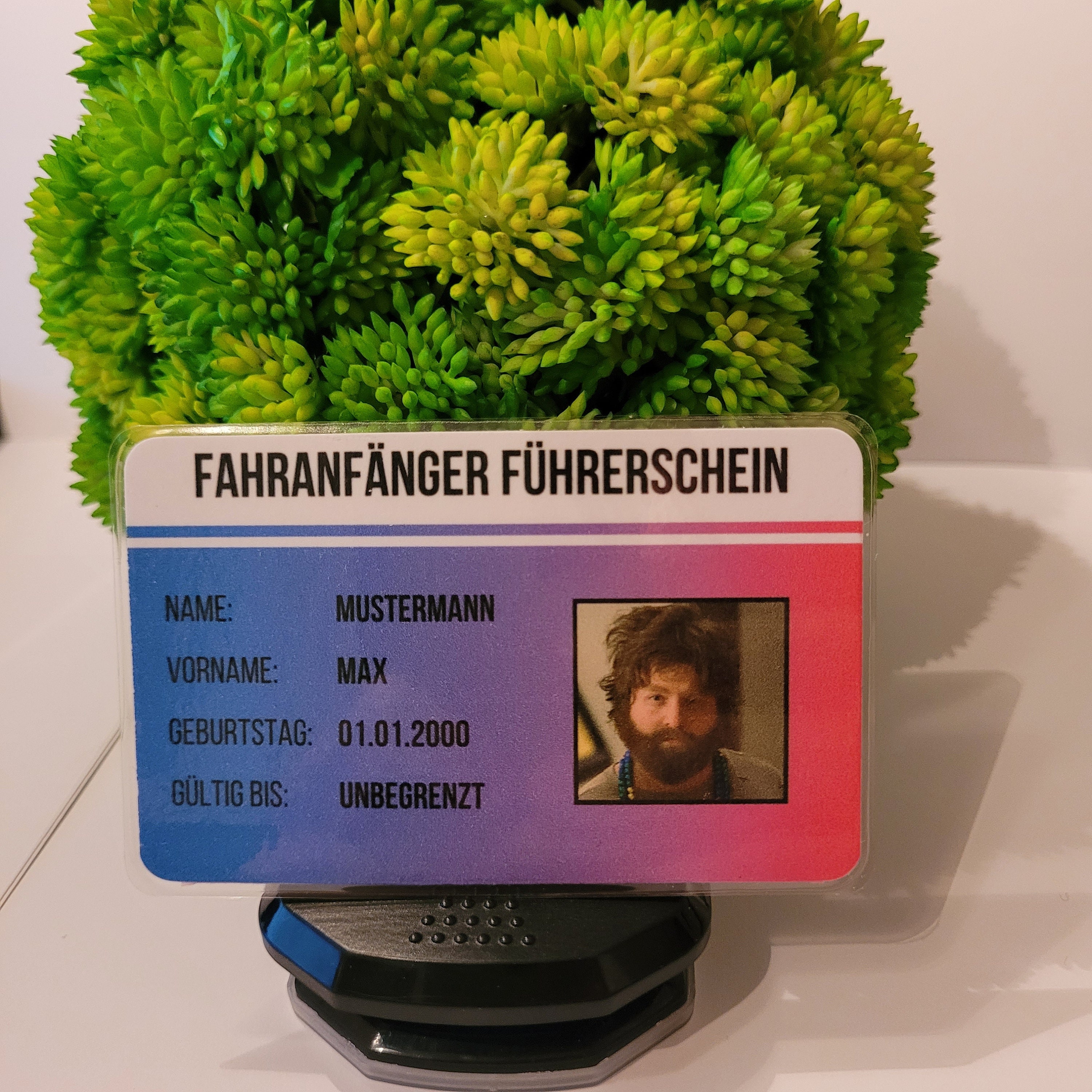 Novice Driver's License // Personalized - Etsy