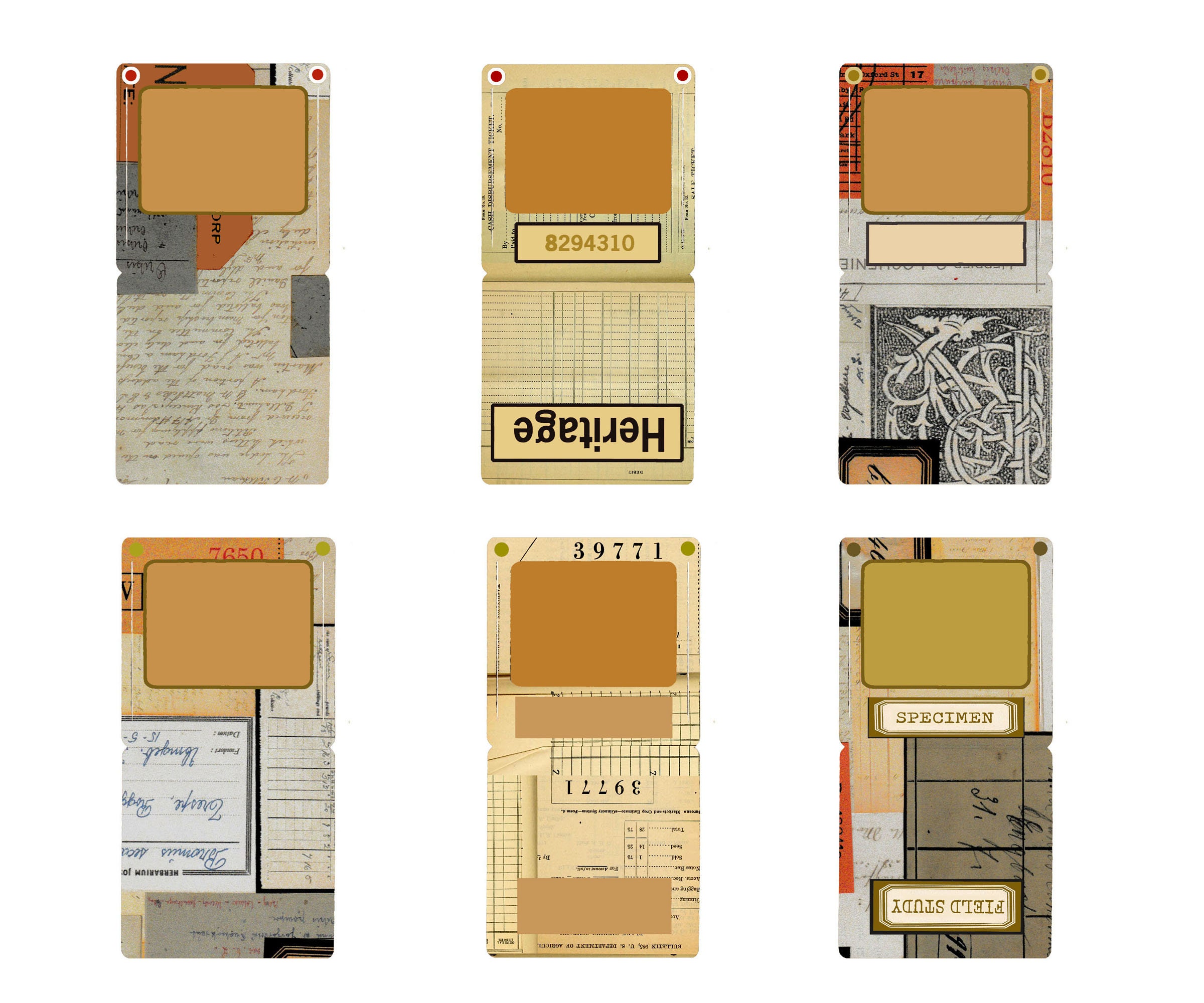 SPECIMEN SLIDE PRINTABLE Cards Vintage Museum Style for Junk Journals ...