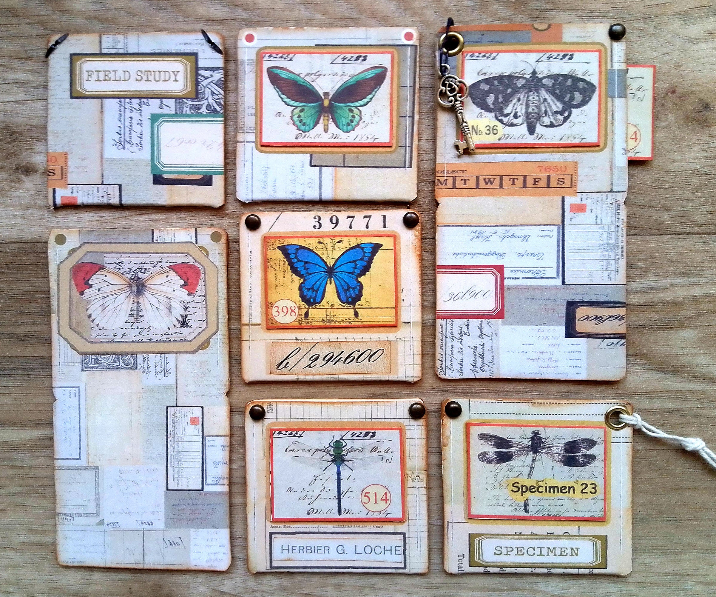 SPECIMEN SLIDE PRINTABLE Cards Vintage Museum Style for Junk Journals ...