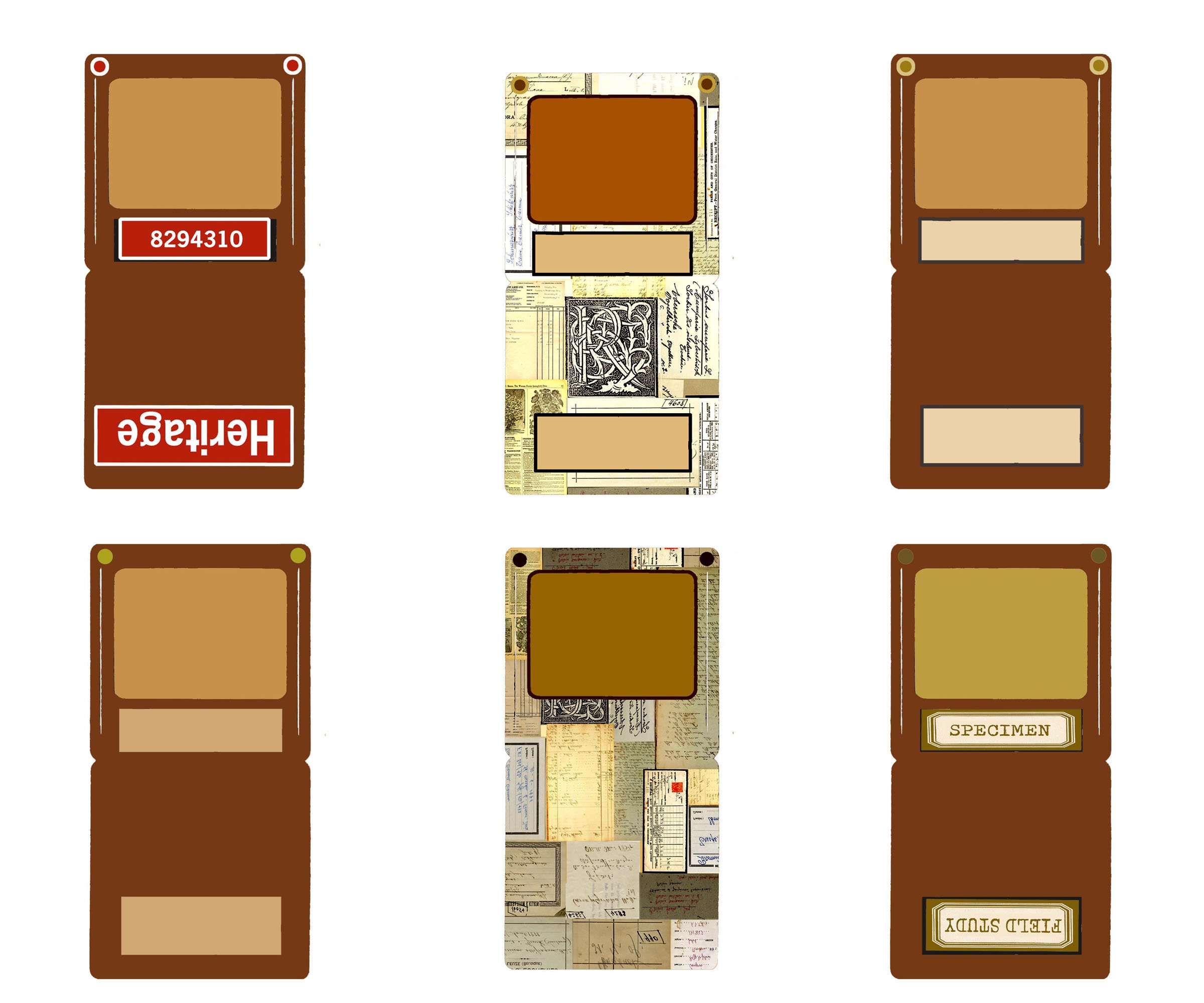 SPECIMEN SLIDE PRINTABLE Cards Vintage Museum Style for Junk Journals ...