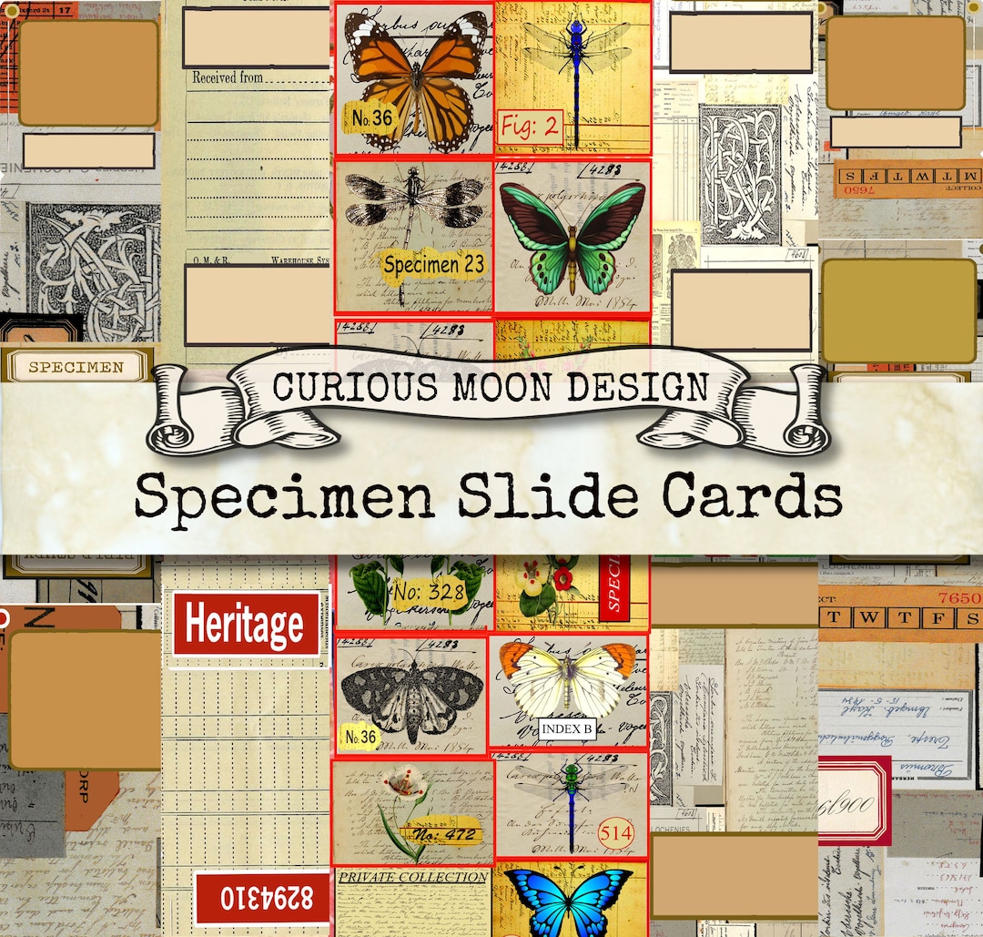 SPECIMEN SLIDE PRINTABLE Cards Vintage Museum Style for Junk Journals ...