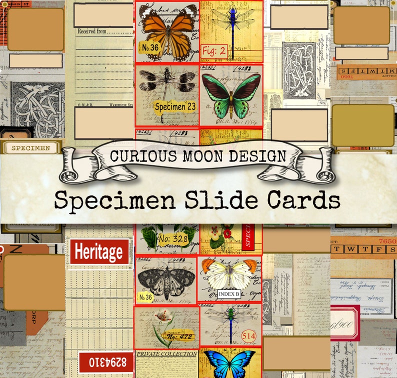 SPECIMEN SLIDE PRINTABLE Cards Vintage Museum Style for Junk Journals ...