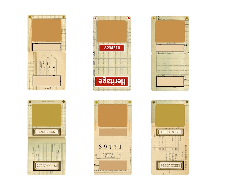 SPECIMEN SLIDE PRINTABLE Cards Vintage Museum Style for Junk Journals ...