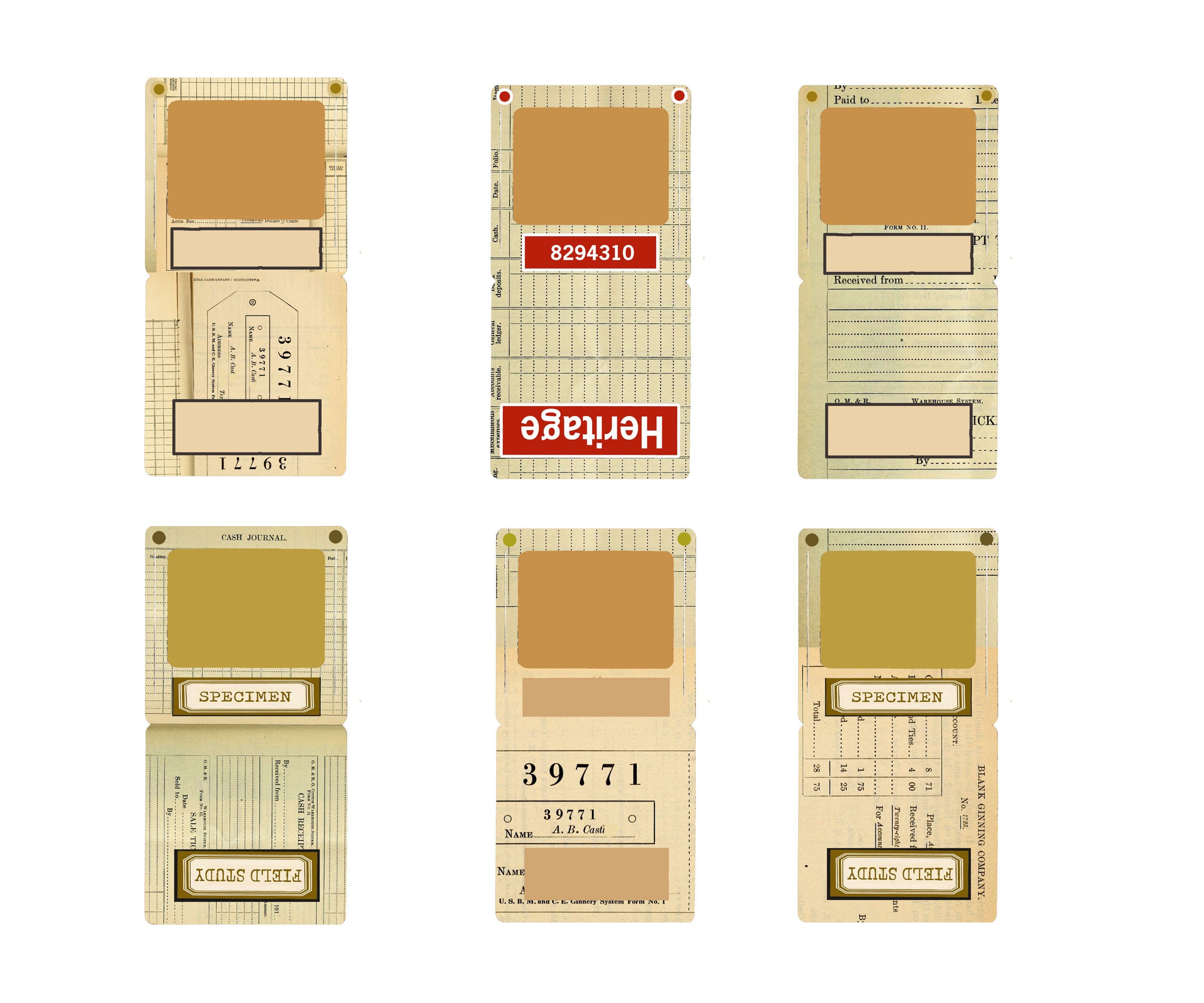 SPECIMEN SLIDE PRINTABLE Cards Vintage Museum Style for Junk Journals ...