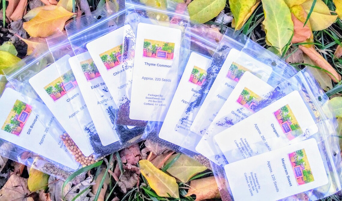 Purple Garden Seed Box Perfect Gift for Purple Lover 10 Seed - Etsy