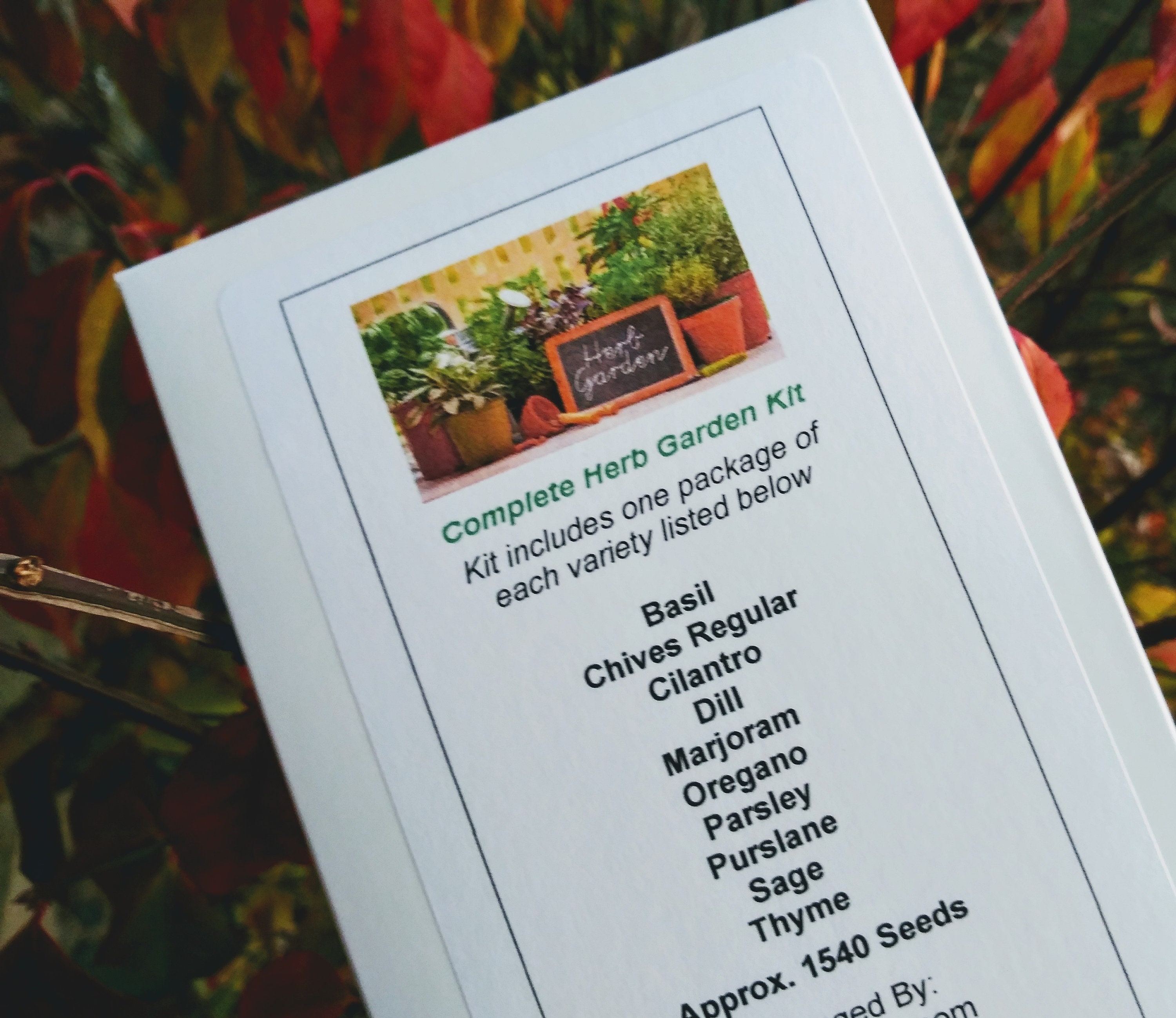 Children's Garden Seeds Boxed Gift Set - Ten Varieties - DIY Garden Kit ...