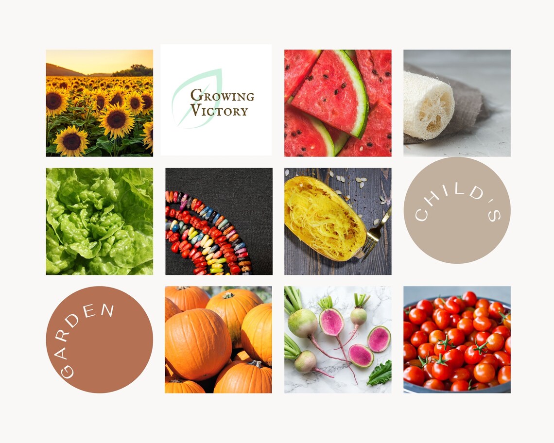 Children's Garden Seeds Boxed Gift Set - Ten Varieties - DIY Garden Kit ...