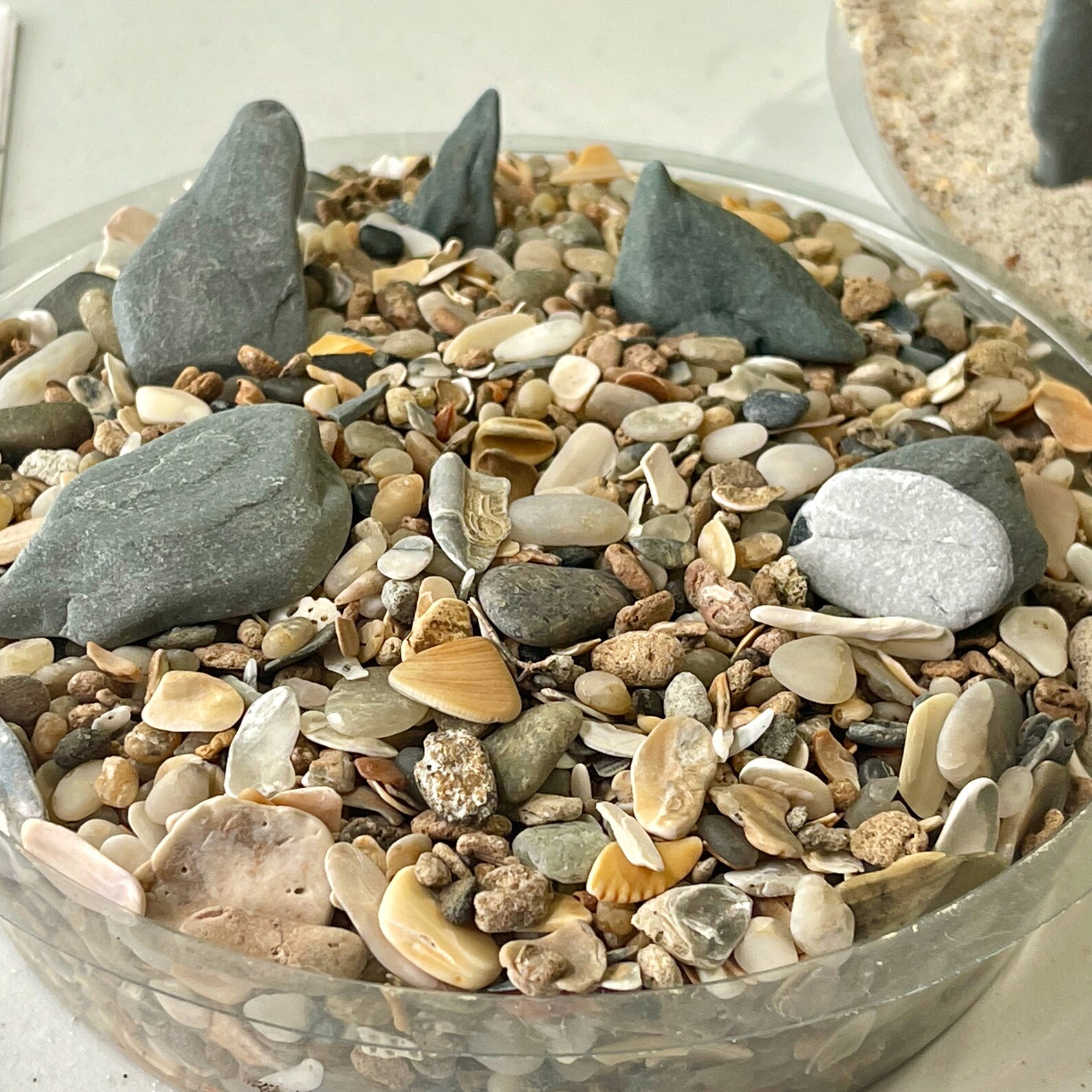 Sea Slate, Ocean Slate, Beach Stones - Etsy UK