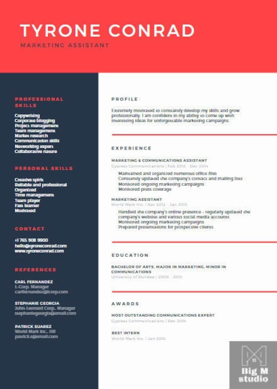 CV elegant for an ambitious person | Etsy