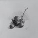 Graphic Drawing 'grape'. Original Artwork Made by Hand. Graphite Pencil ...