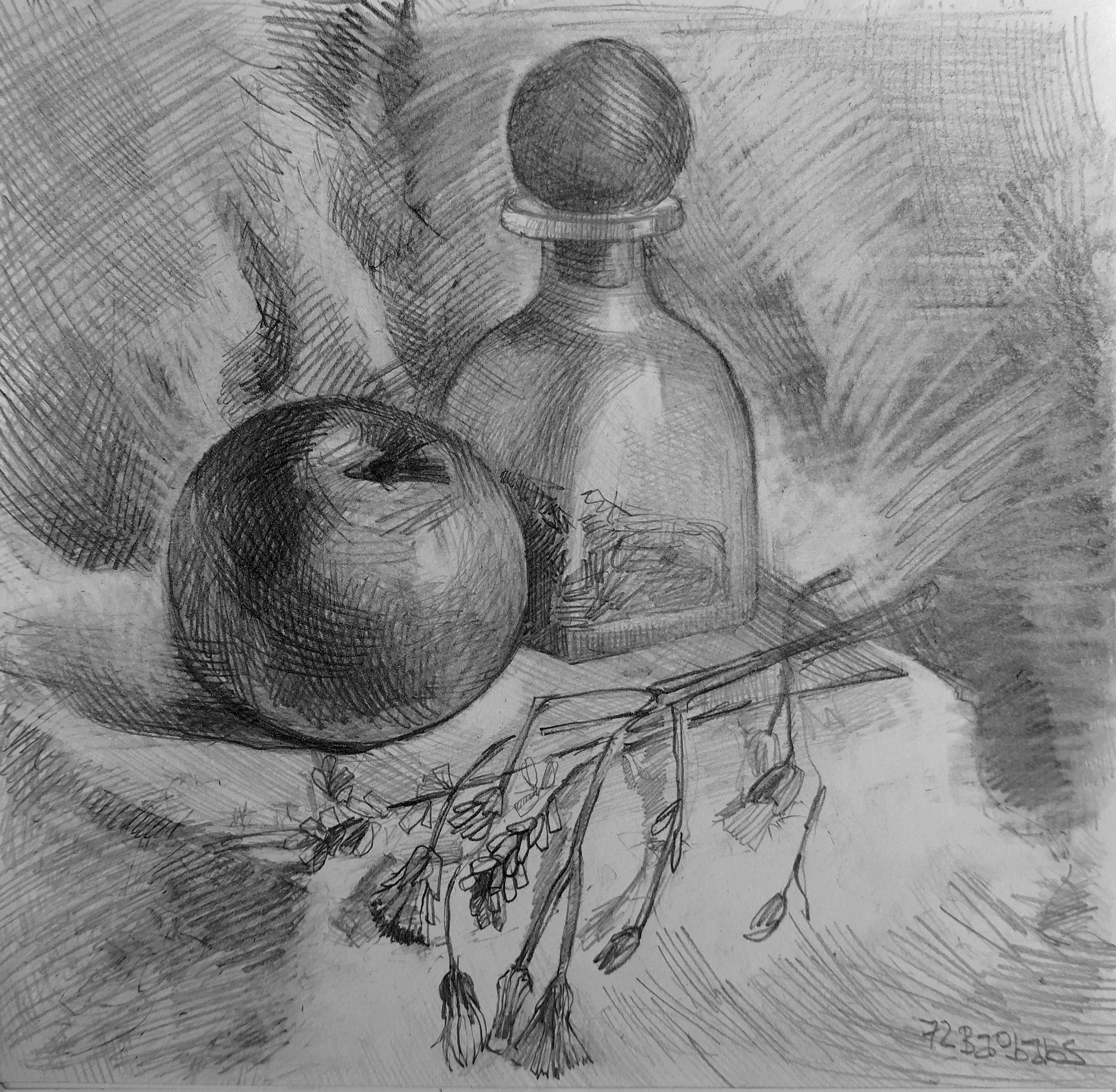 Graphite Still Life Drawings