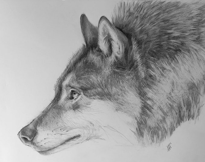 Graphic Drawing 'prowling Wolf'. Original Artwork Made by Hand ...
