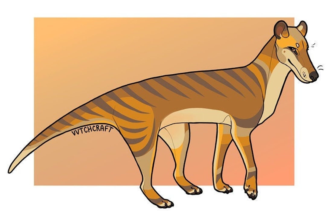 Character Art (fullbody) | Feral, Human, Furry/anthro Ocs ...