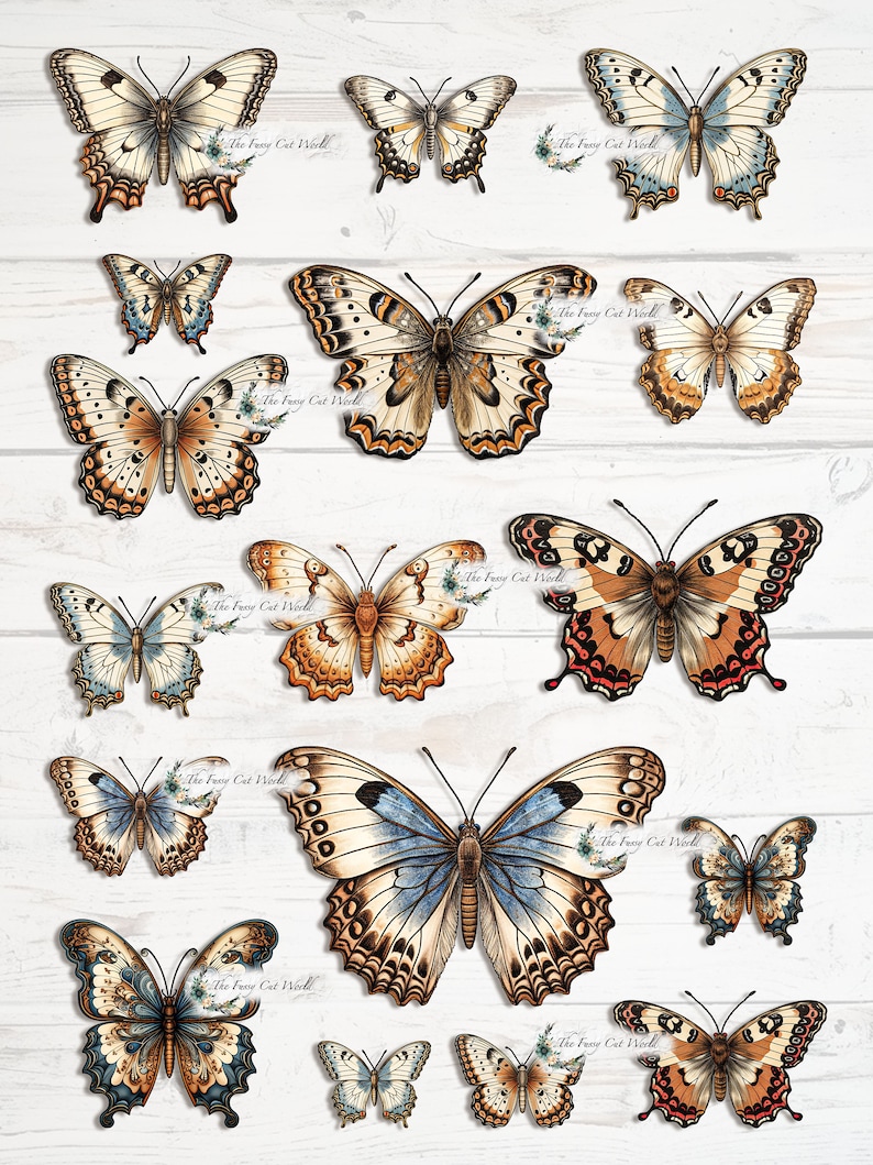 Vintage Butterfly Ephemera: 77 Fussy Cut Designs (digital Download) - Etsy