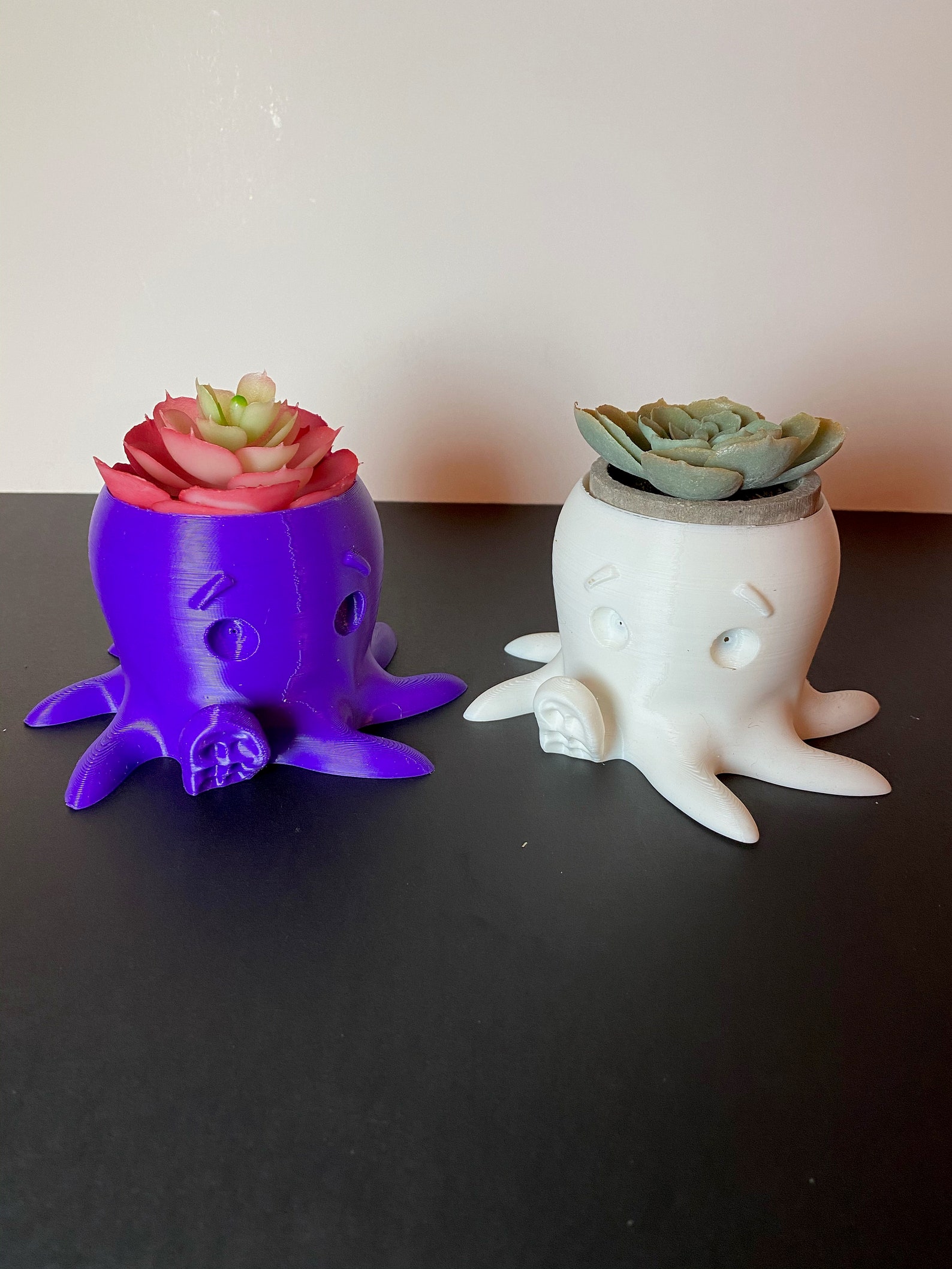 Custom Octopus Plant Pot Perfect for Succulents Herbs and - Etsy