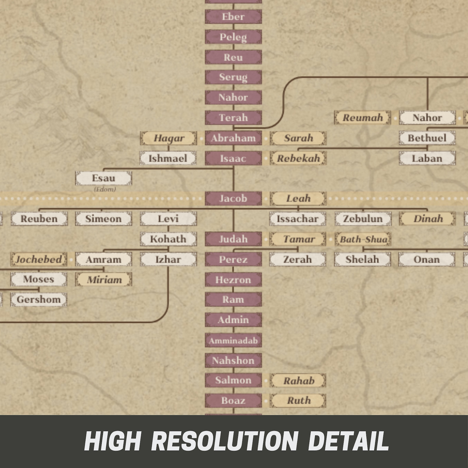 Biblical Genealogy Chart , Jesus Family Tree , Bible History Study Tool ...