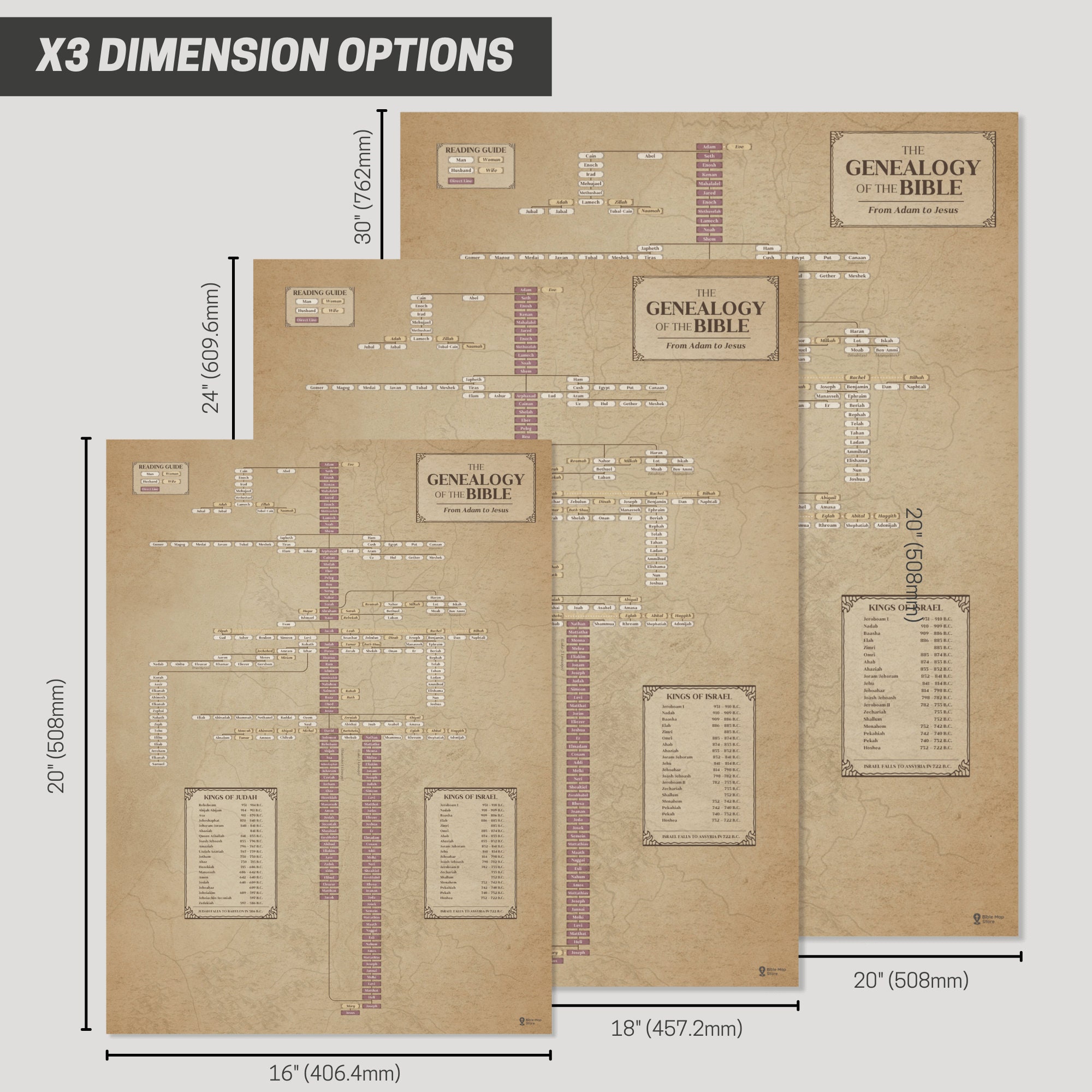 Biblical Genealogy Chart , Jesus Family Tree , Bible History Study Tool ...
