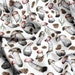 Patterns VISCOSE Fabric 100% Eco-print Printed Viscose - Etsy UK