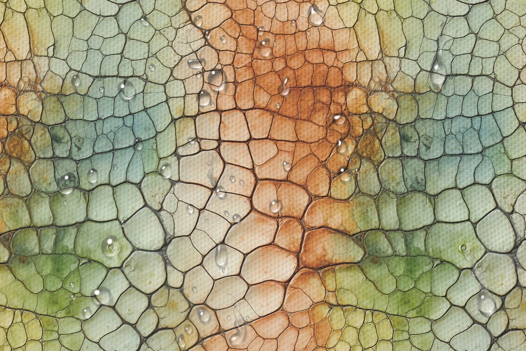 Waterproof Cordura Fabric, Snake Scale Fabric, PN-EN ISO, 600D Weave ...