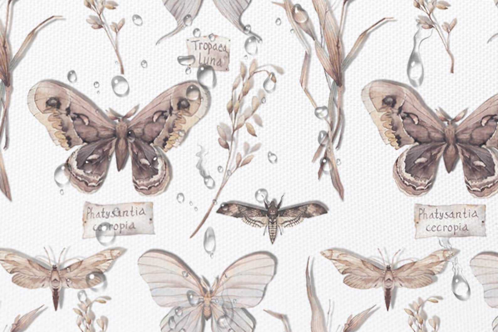 Waterproof Cordura Fabric, Insects, PN-EN ISO, 600D Weave, 200g/m2 ...