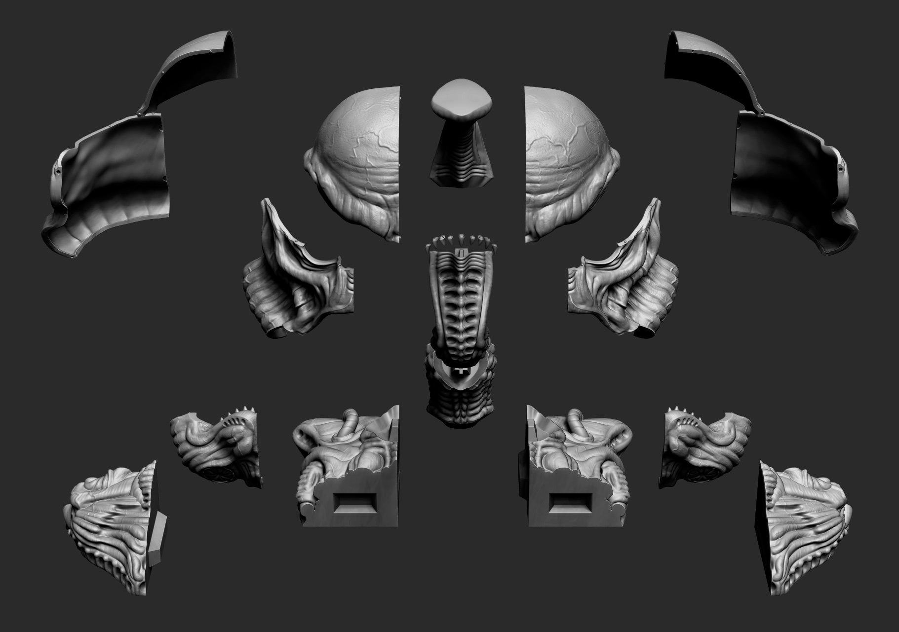 Organic Stormtrooper Helmet STL File: 3D Printable Design for Star Wars ...