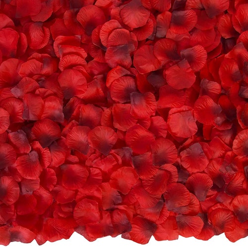 Silk Rose Petals 1200 Red Petals - Etsy