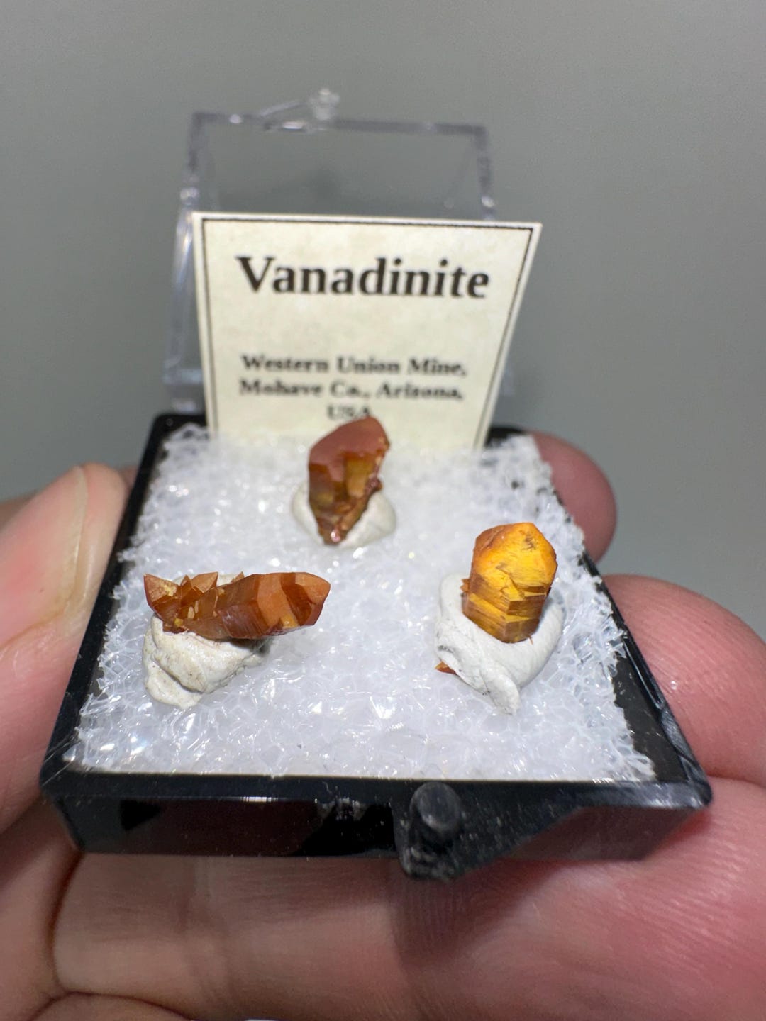 Vanadinite, Western Union Mine, Arizona - Etsy