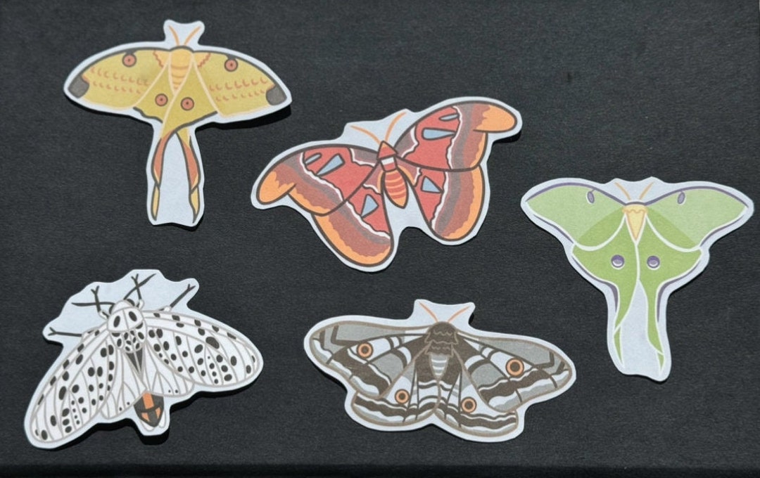 Cute Moth Stickers - Etsy