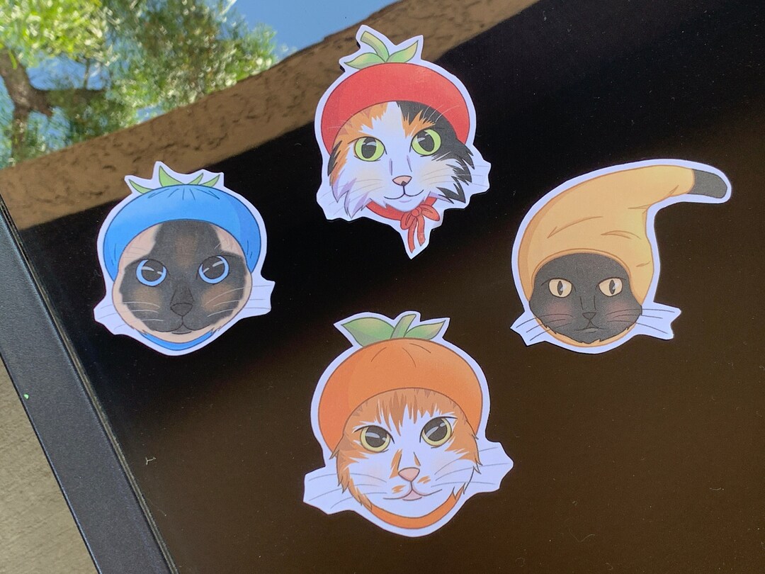 Cats With Fruit Hats Sticker Pack - Includes All 4 Stickers - Etsy