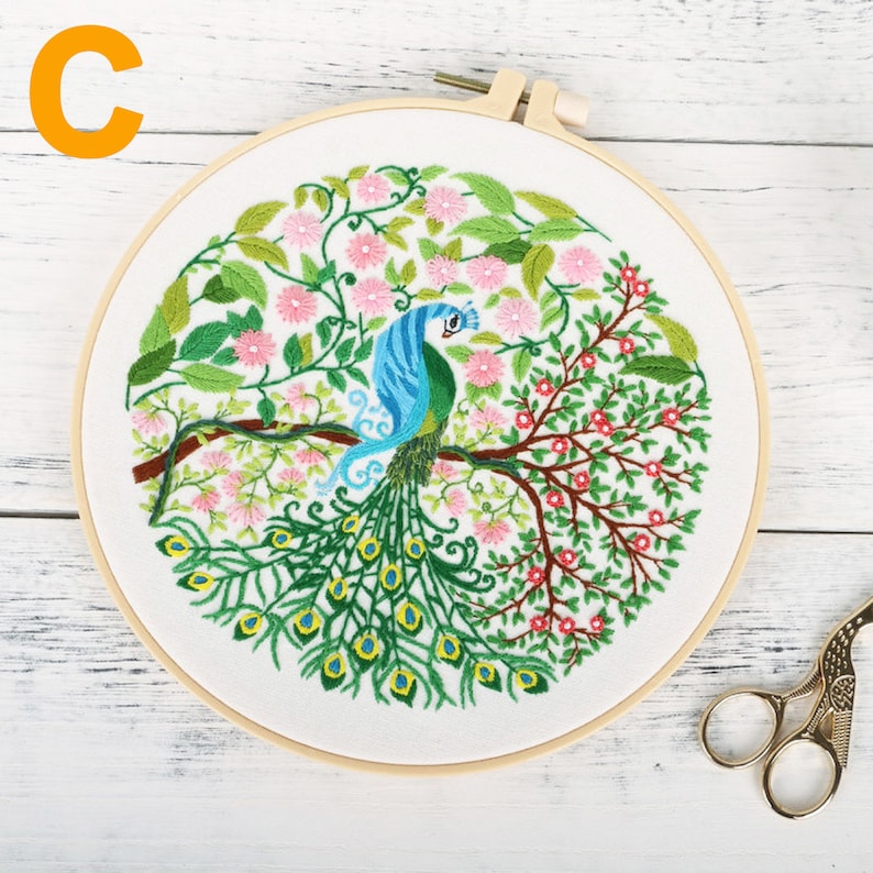 Vintage Embroidery Kit for Beginner - Hoop Art Including Everything to ...