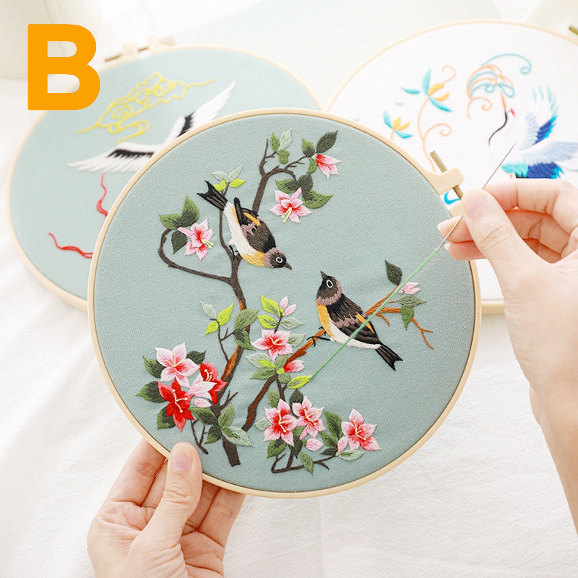 Vintage Embroidery Kit for Beginner - Hoop Art Including Everything to ...