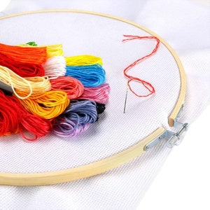 Transparent Embroidery Kit Hoop Art Mother's Day Gift Modern Embroidery ...